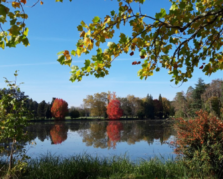 Le parc et les jardins